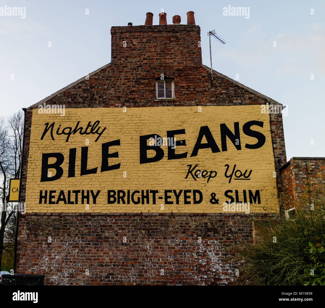 Bile beans york hi-res stock photography and images - Alamy