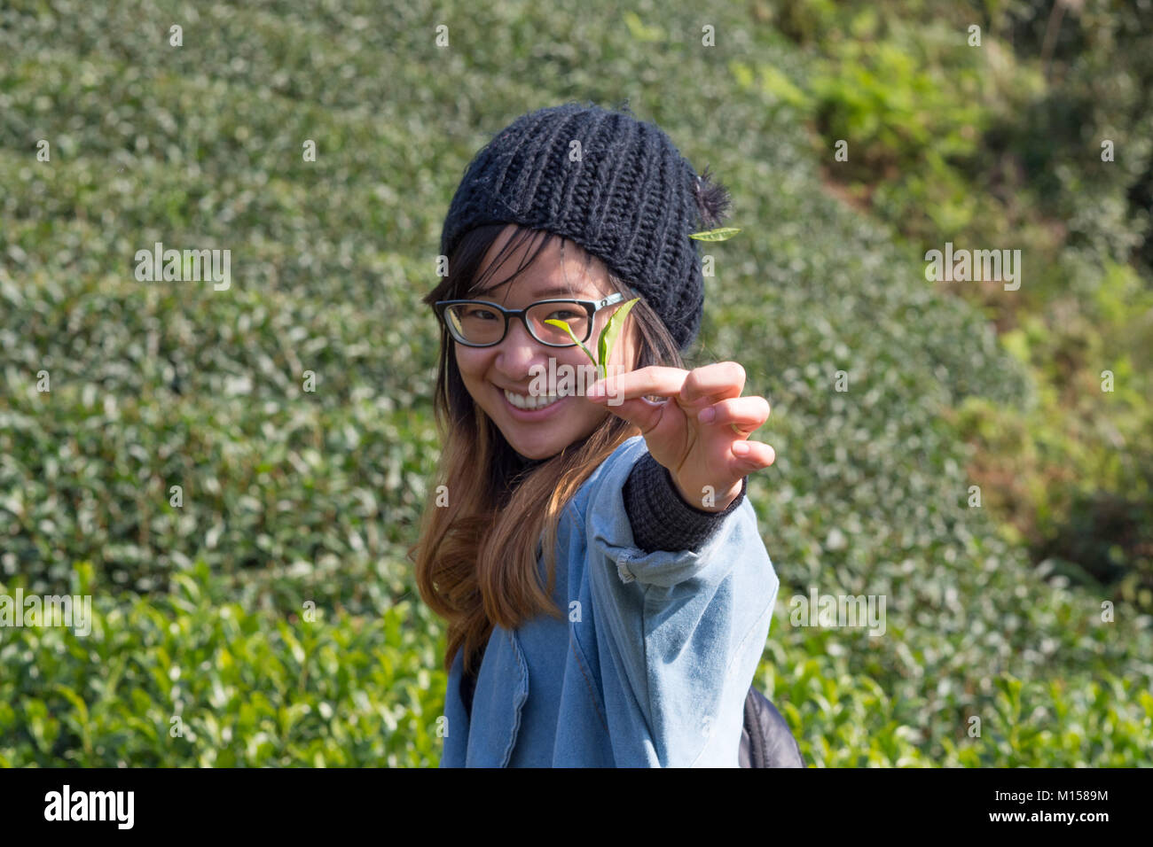Beautiful travelling girl looking cheerfully in a tea farm Stock Photo ...