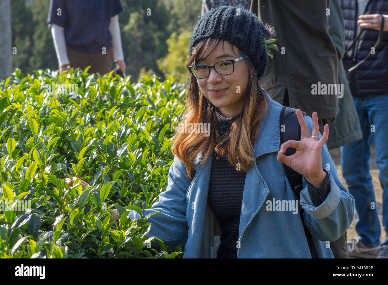 Beautiful travelling girl looking cheerfully in a tea farm Stock Photo ...