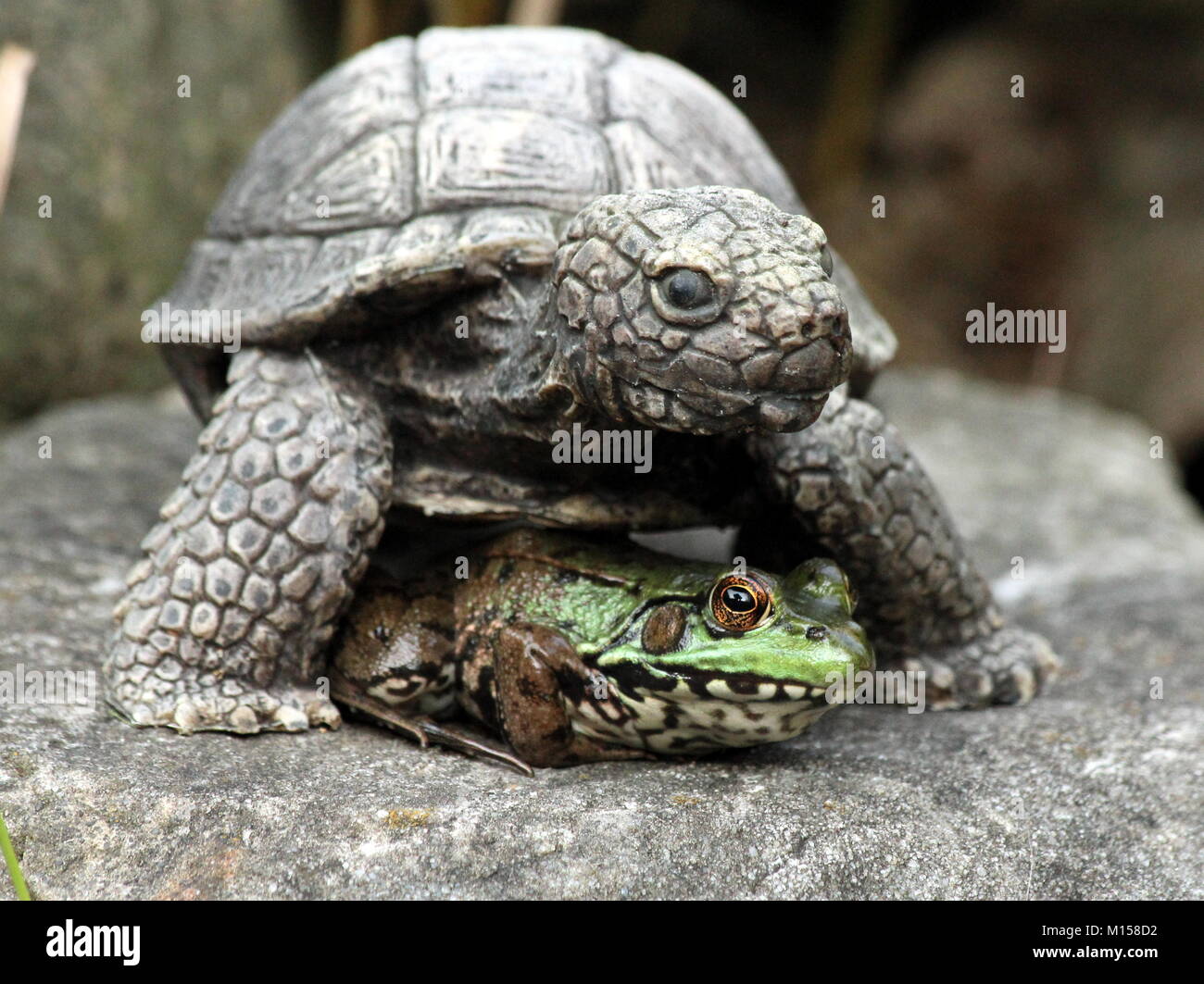 Shades of life hi-res stock photography and images - Alamy