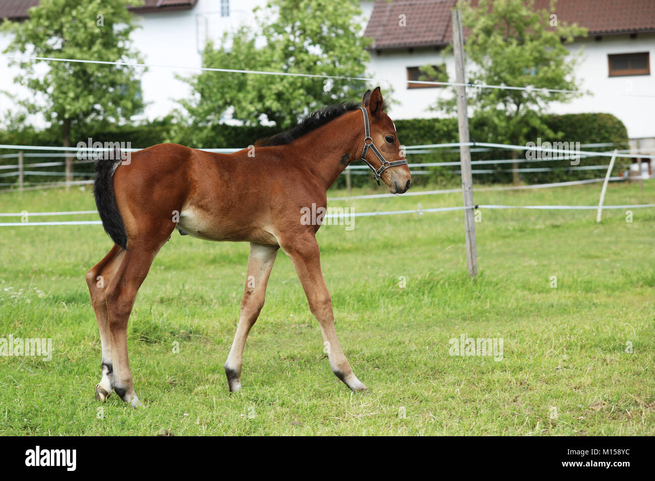 Parture High Resolution Stock Photography and Images - Alamy