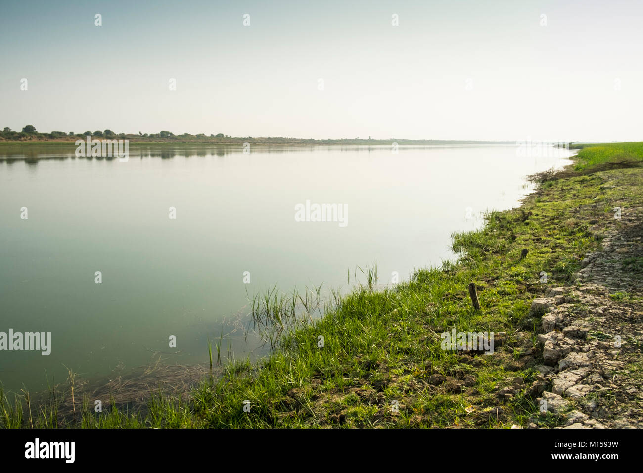 The Chambal River is one of the few remaining areas where the ...