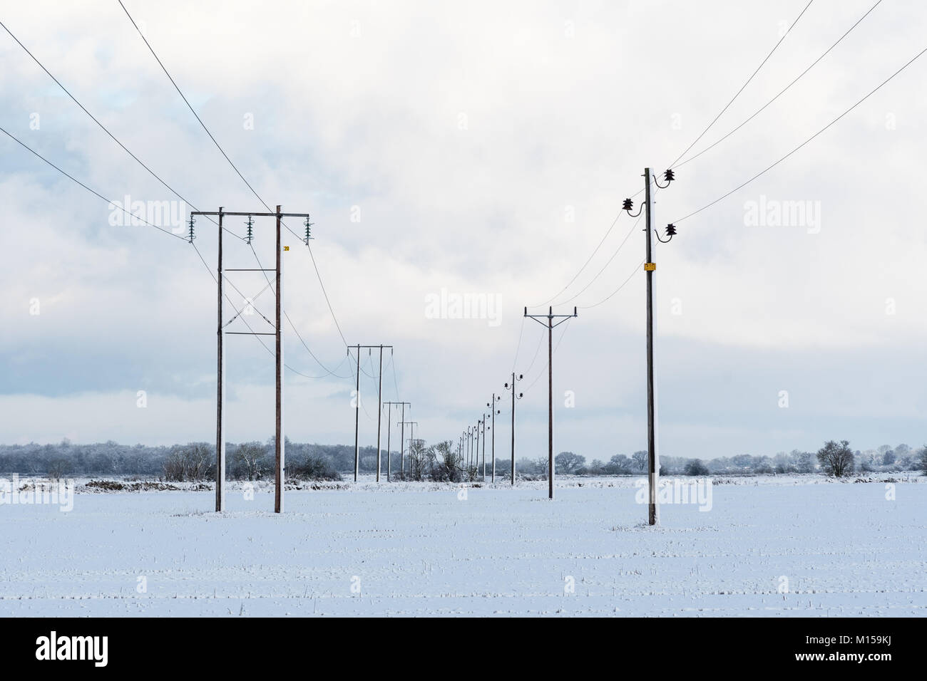 Electric power lines in a wintry landscape Stock Photo - Alamy