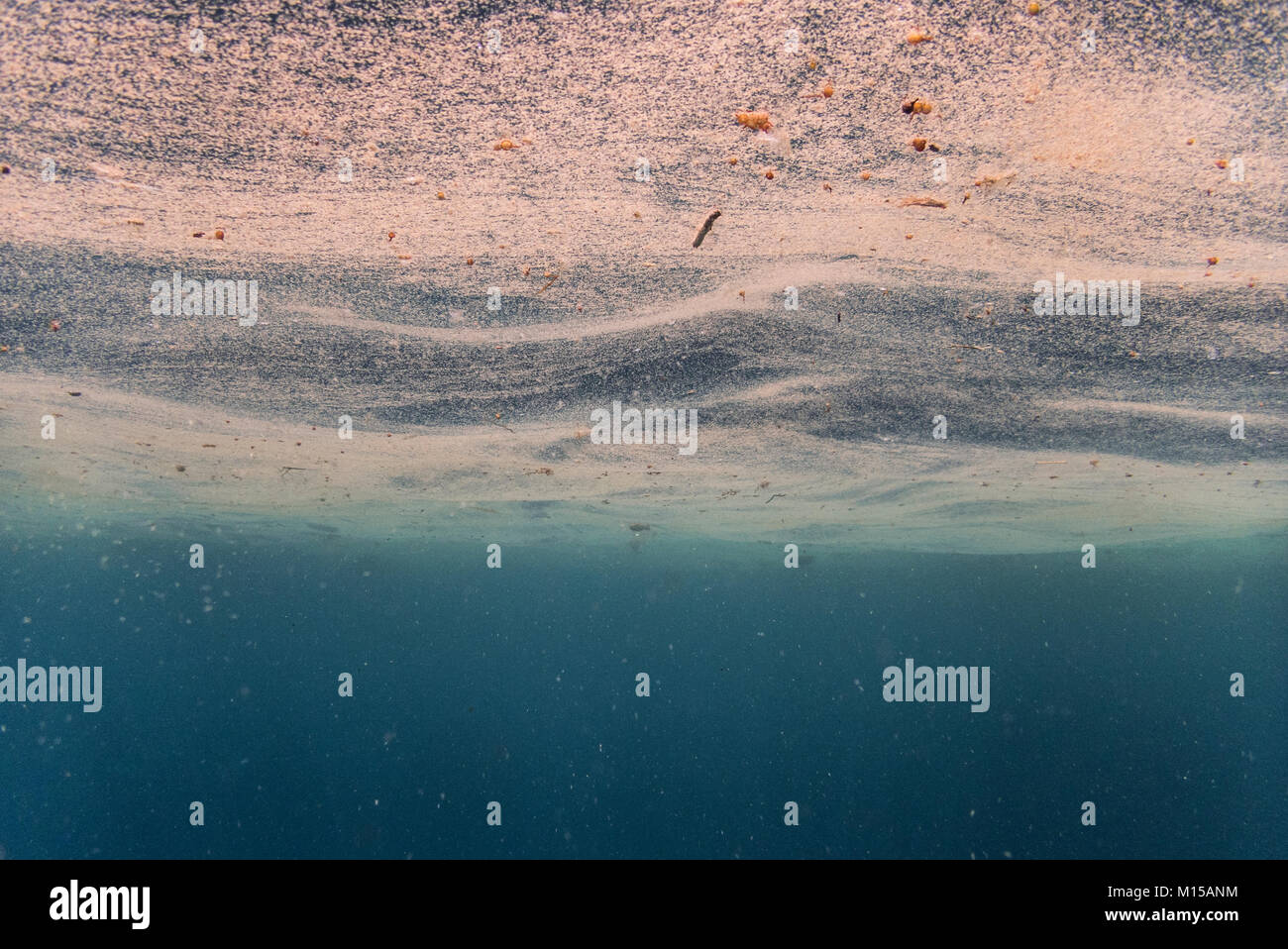 Red tide (algae bloom) in SE Brazil's island of Ilhabela Stock Photo ...