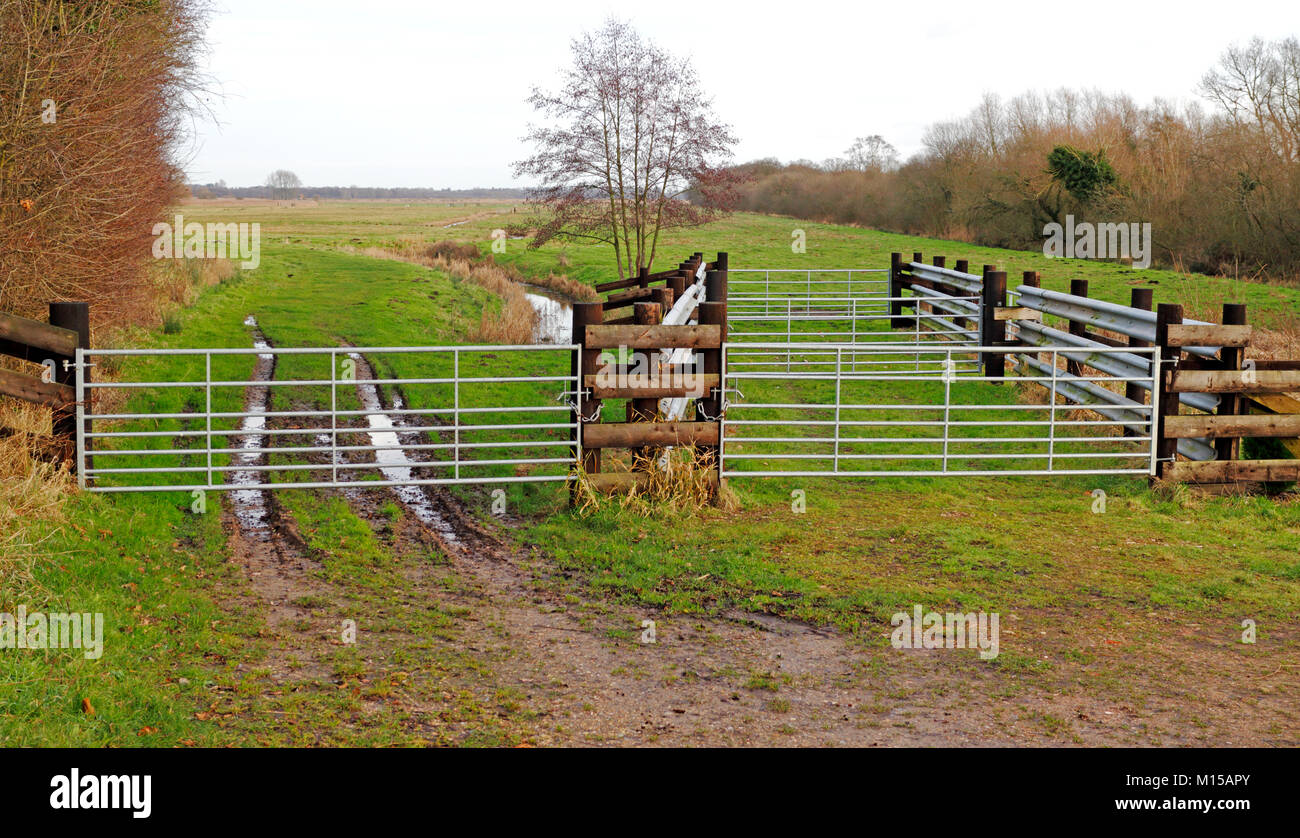 Livestock Pens Stock Photos & Livestock Pens Stock Images - Alamy