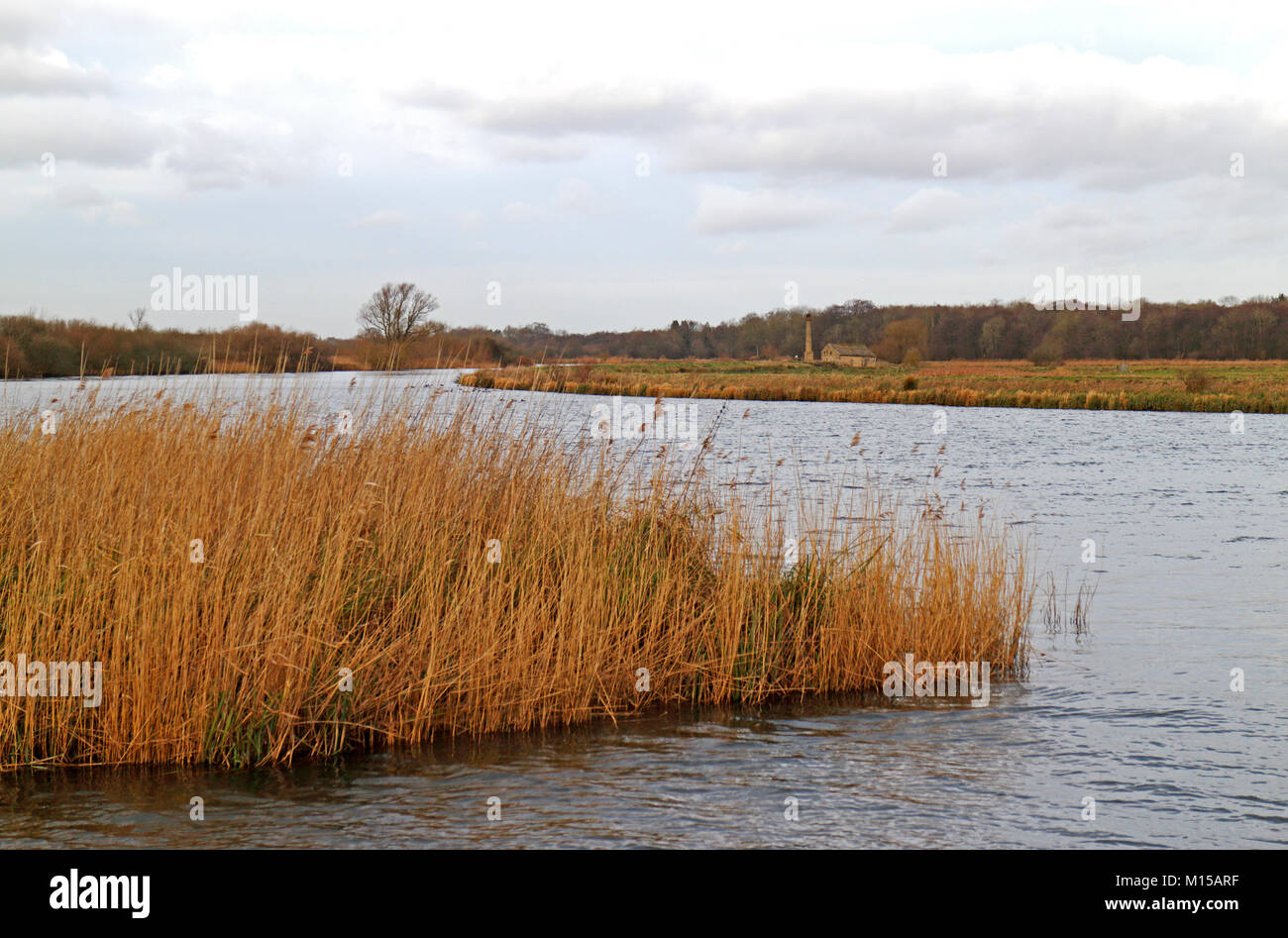 A view of Rockland Broad in winter on the Norfolk Broads at Rockland St ...