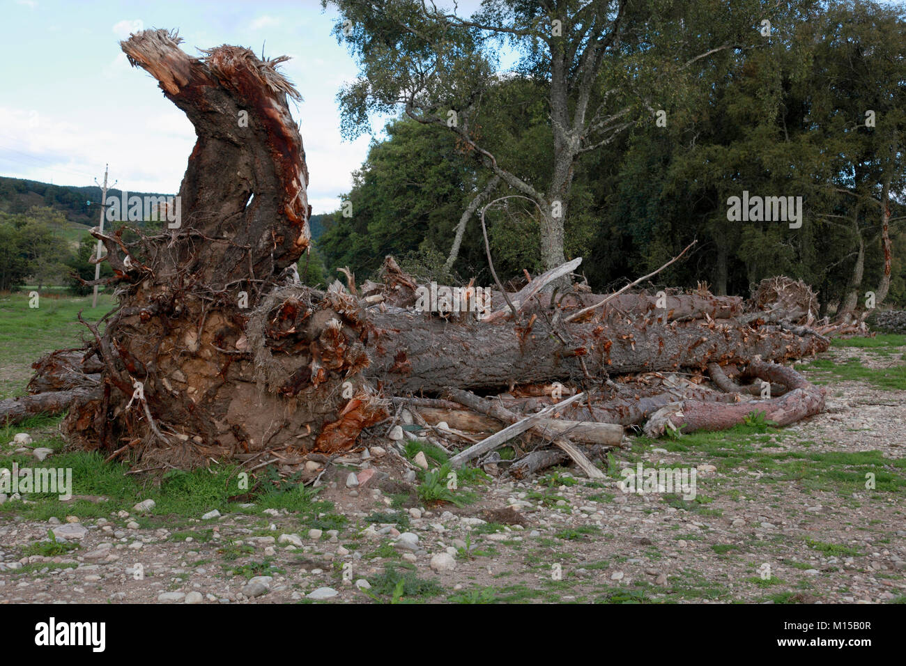 Flooding river dee hi-res stock photography and images - Alamy