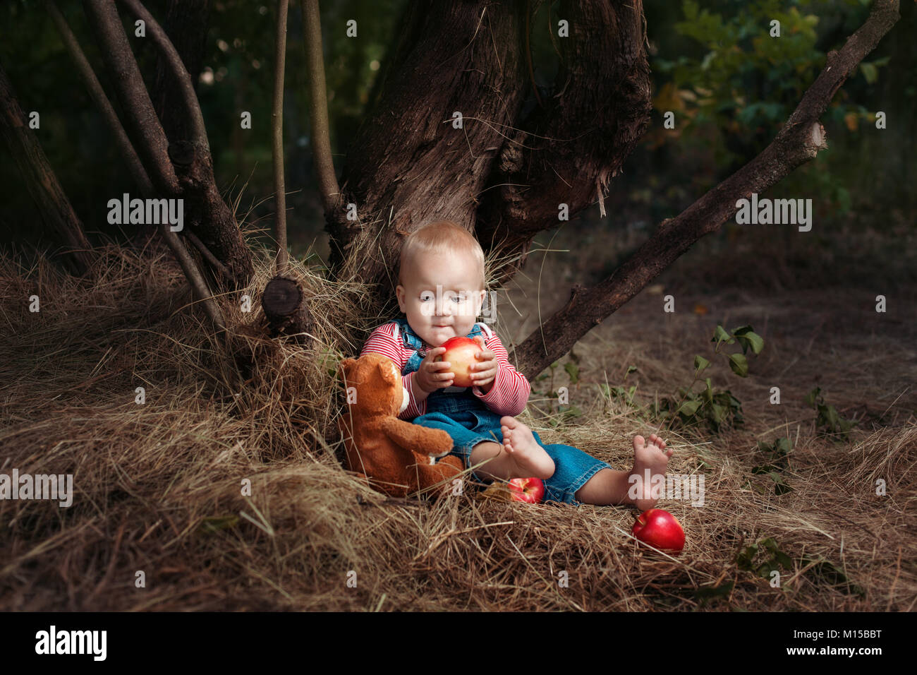 Child girl sits under a tree and holds an apple Stock Photo - Alamy