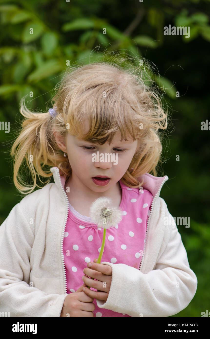 blond girl blowing a dandelion Stock Photo - Alamy