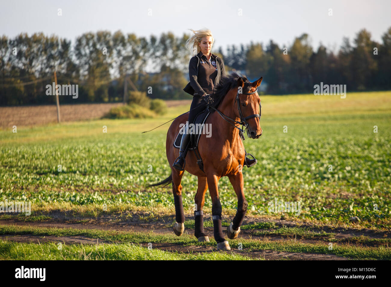 Young pretty girl - riding a horse in spring time Stock Photo - Alamy
