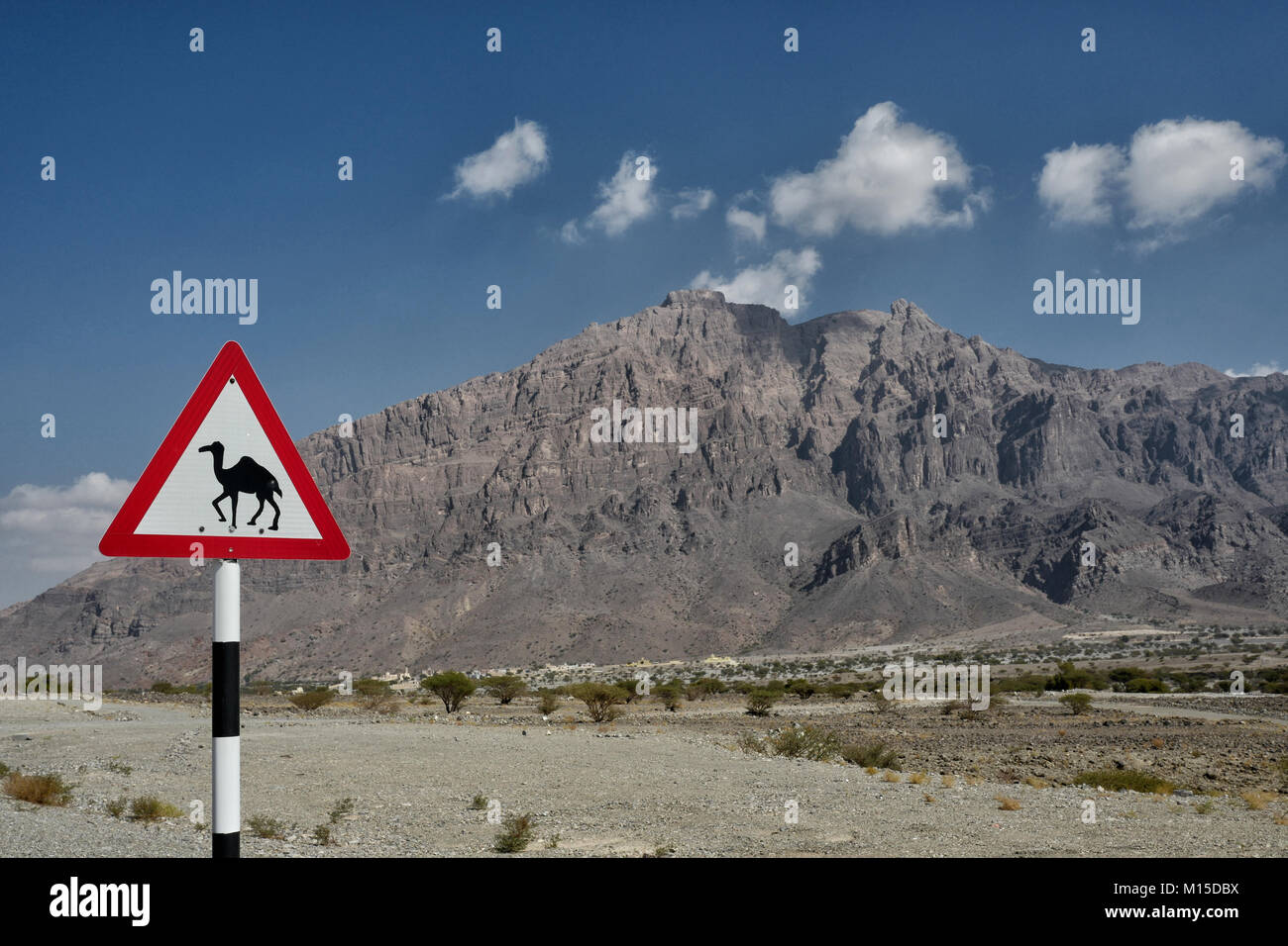 Camel crossing sign hi-res stock photography and images - Alamy