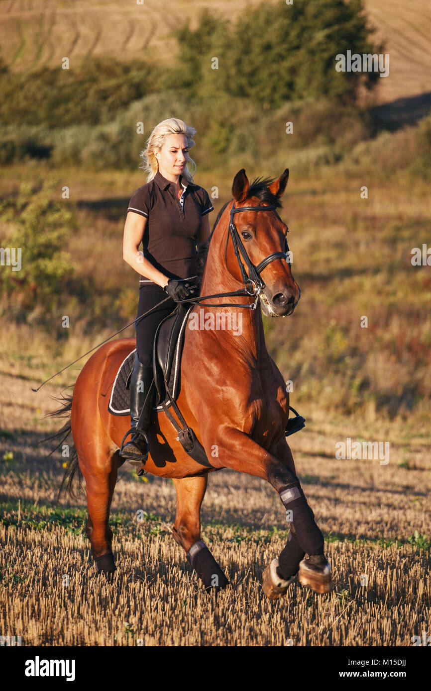 Equestrian sport background. Young woman riding brown horse Stock Photo ...