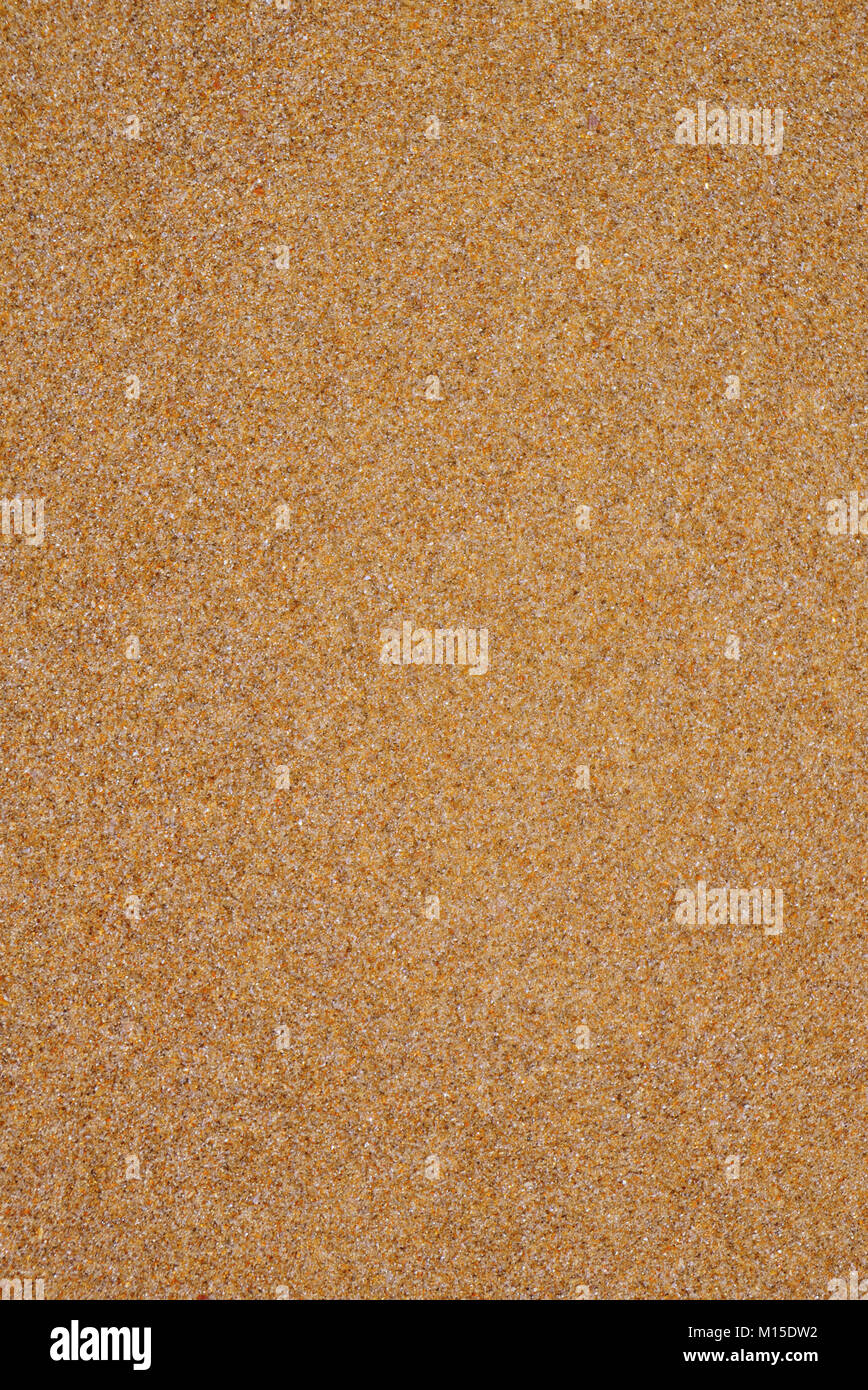 Background from the wet sea sand Stock Photo - Alamy