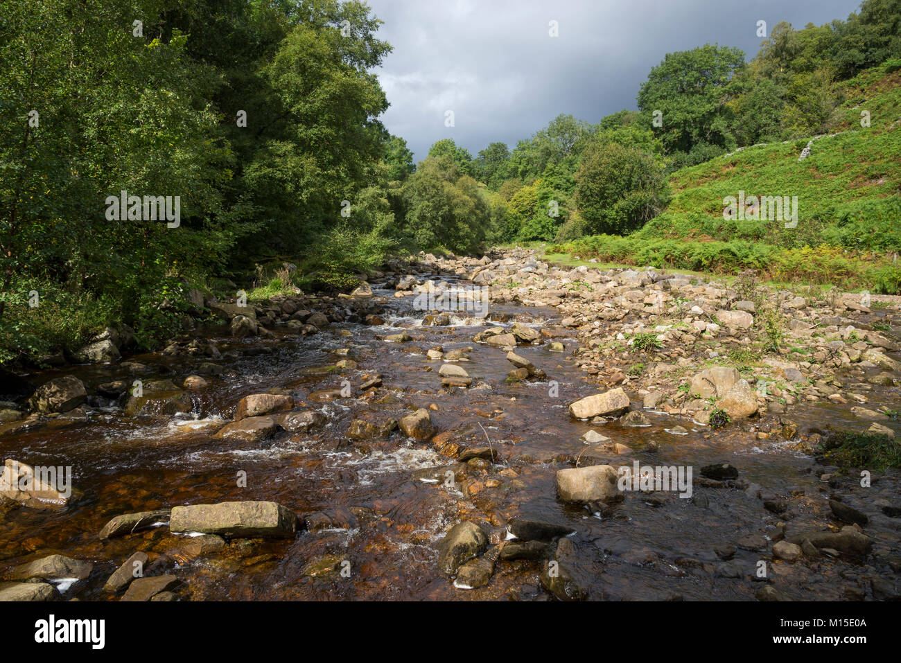 Gunnerside Beck in Swaledale, North Yorkshire, England Stock Photo - Alamy