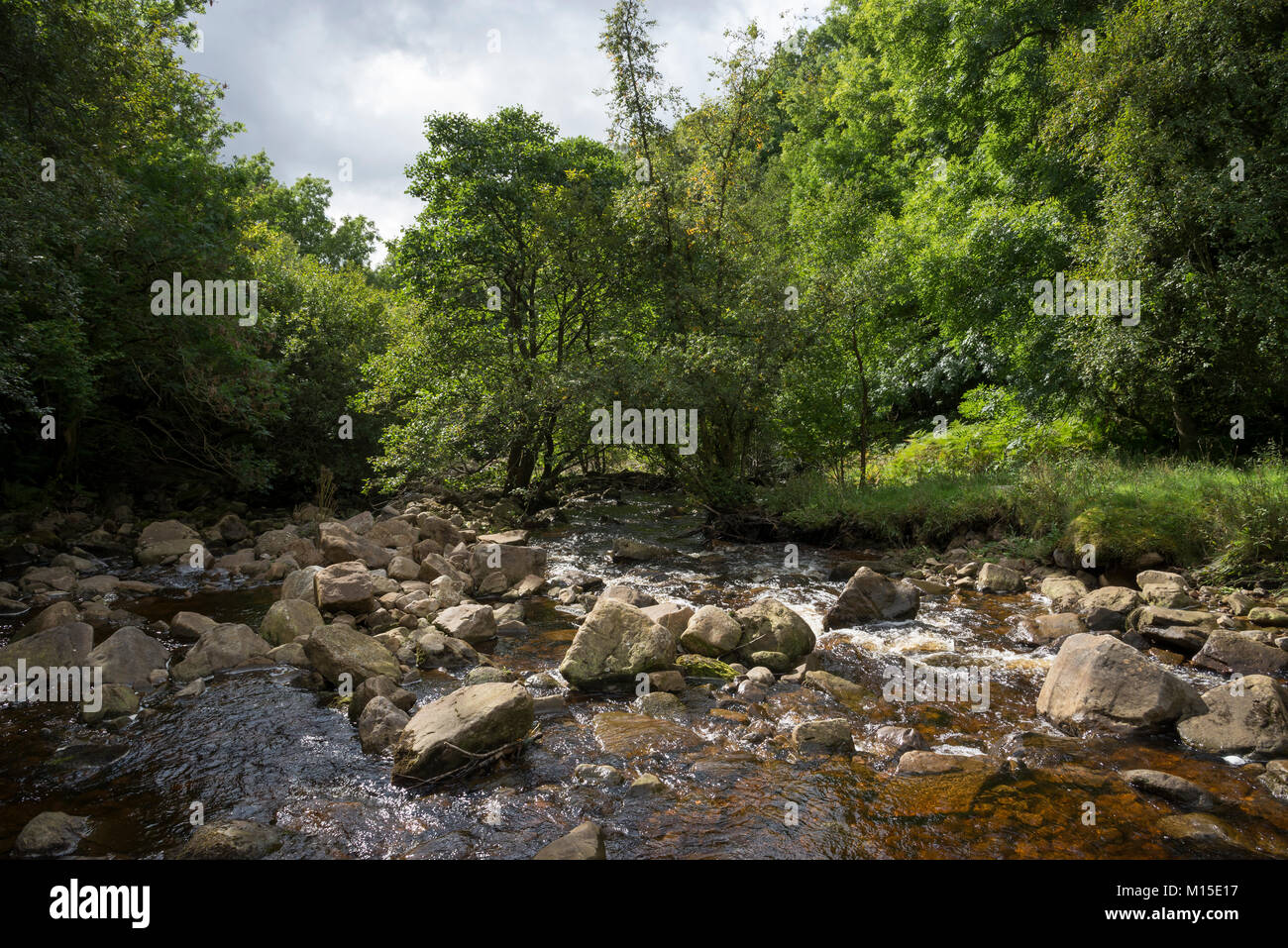 Gunnerside Beck in Swaledale, North Yorkshire, England Stock Photo - Alamy