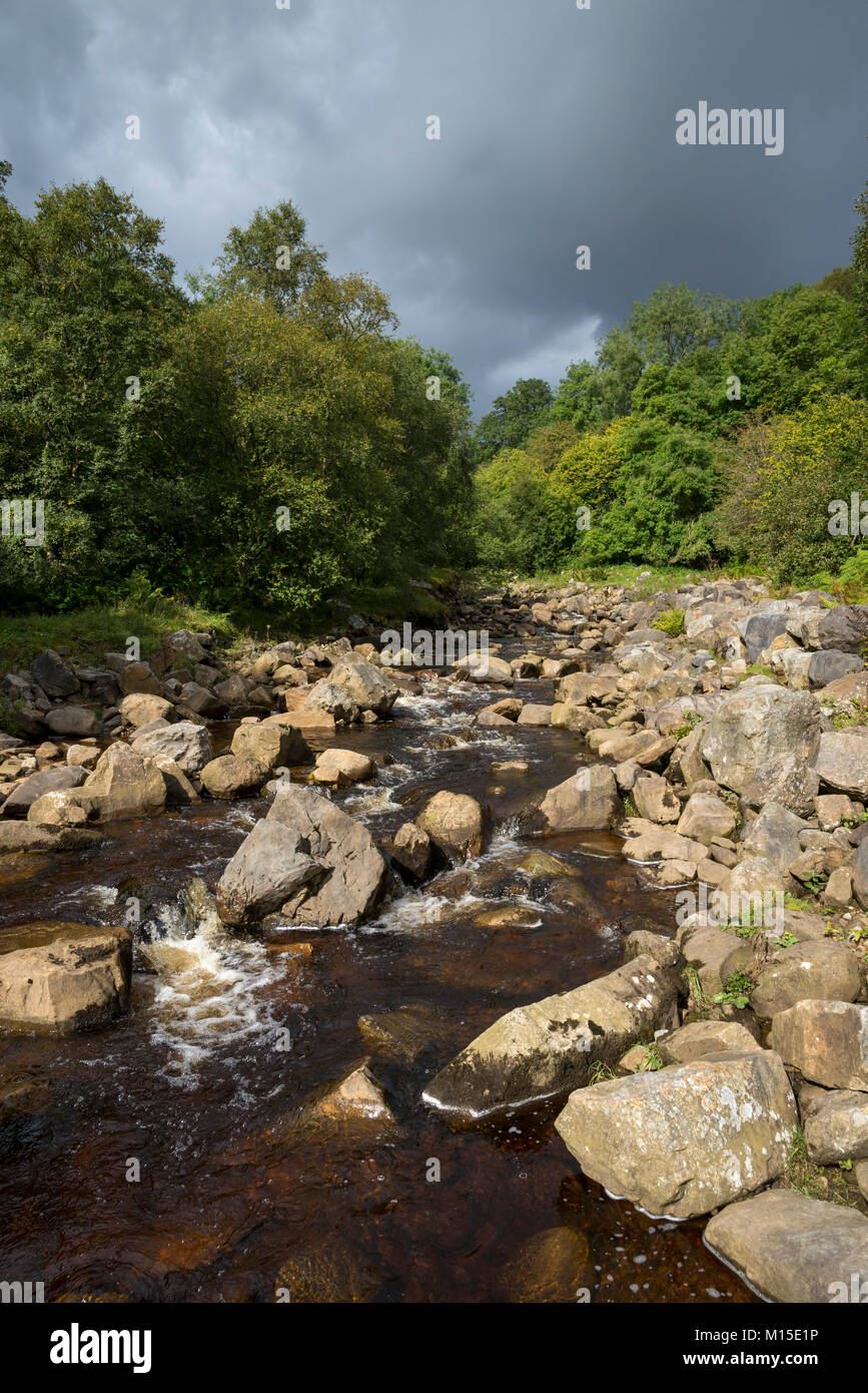 Gunnerside Beck in Swaledale, North Yorkshire, England Stock Photo - Alamy
