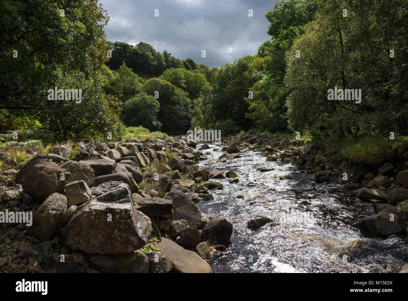 Gunnerside Beck in Swaledale, North Yorkshire, England Stock Photo - Alamy