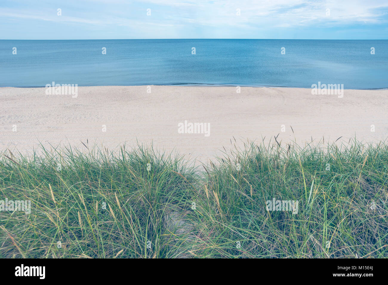wild grass and empty sand beach on Baltic sea in Nida, Lithuania Stock ...