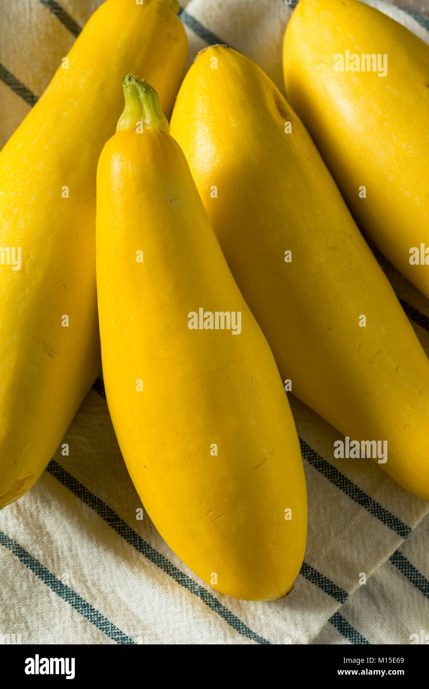 Yellow Organic Straight Neck Zucchini Ready to Cook Stock Photo - Alamy