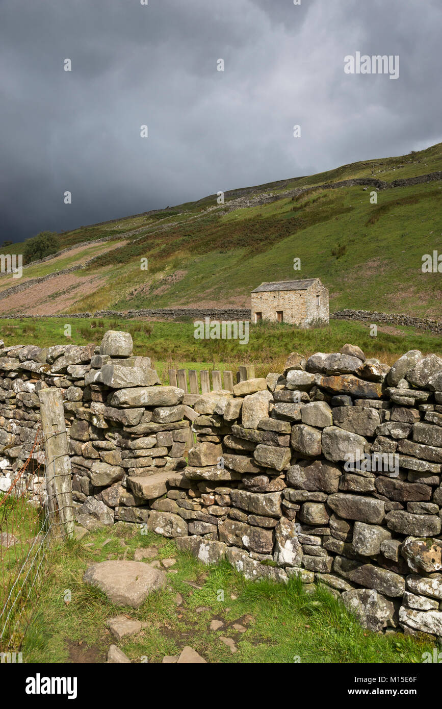 Old stone barn and wall at Gunnerside beck in Swaledale, North ...
