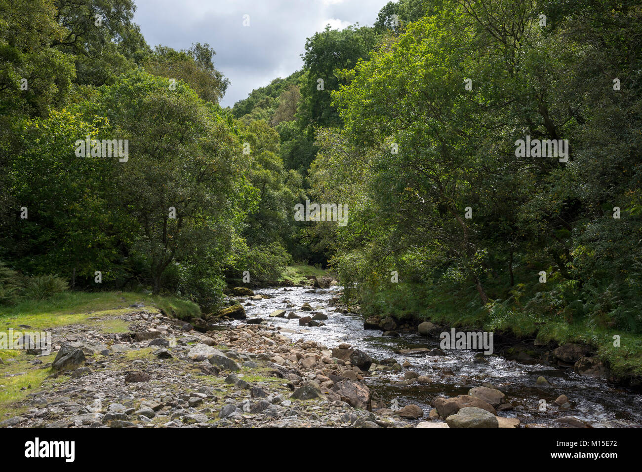 Gunnerside beck in Swaledale, North Yorkshire, England Stock Photo - Alamy