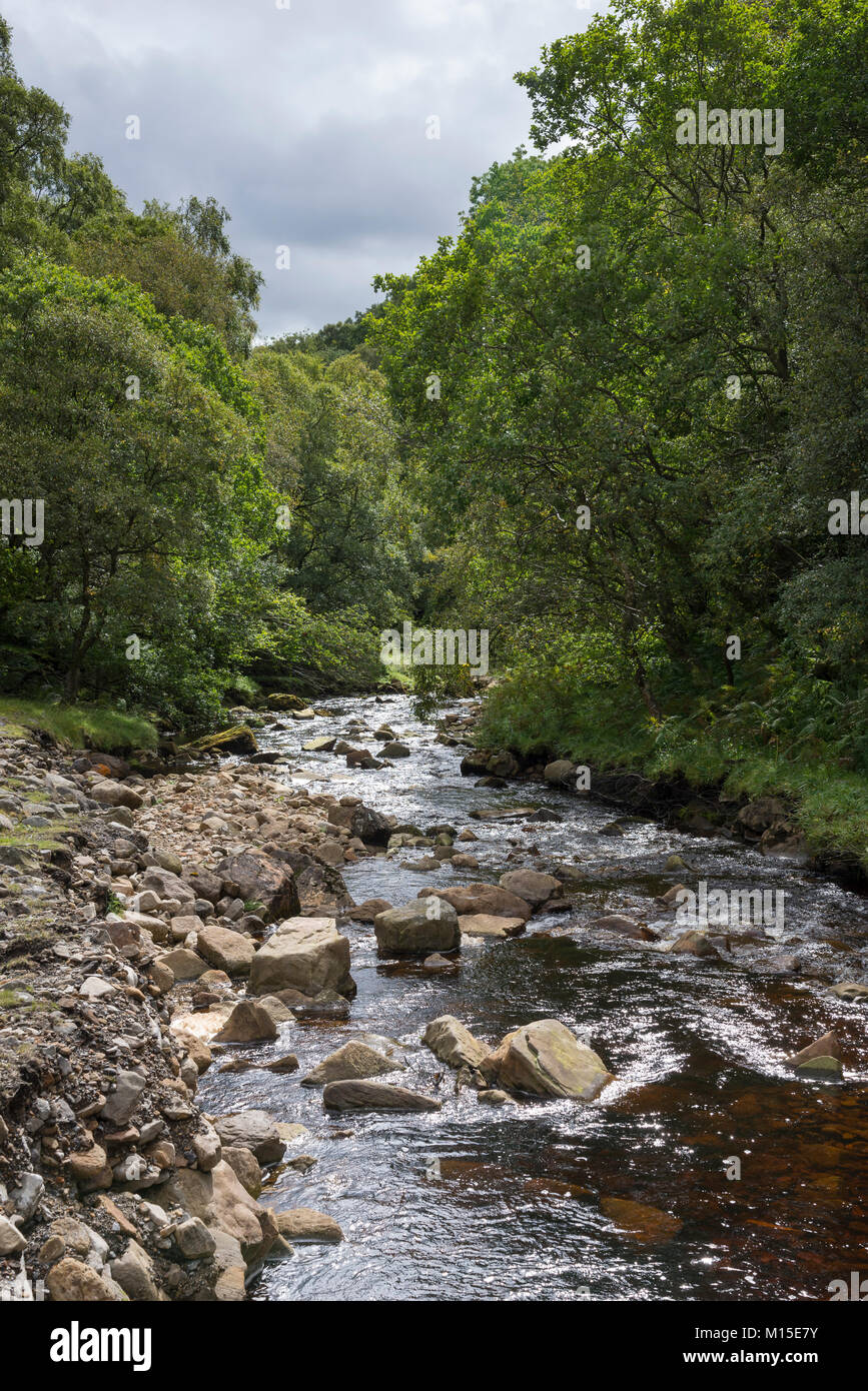 Gunnerside beck in Swaledale, North Yorkshire, England Stock Photo - Alamy