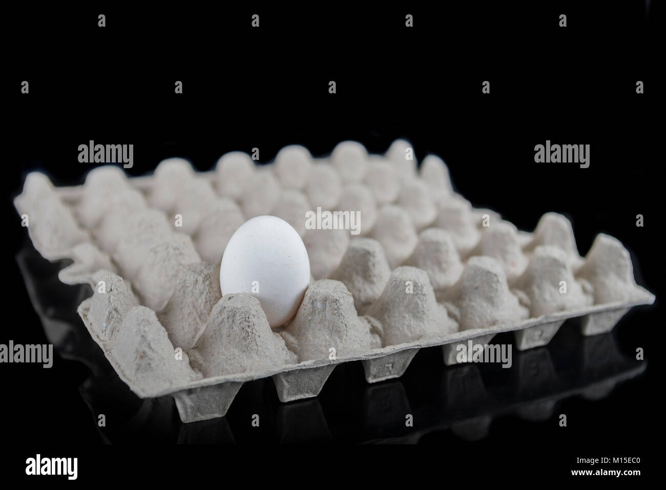 White chicken egg poultry farm hi-res stock photography and images - Alamy