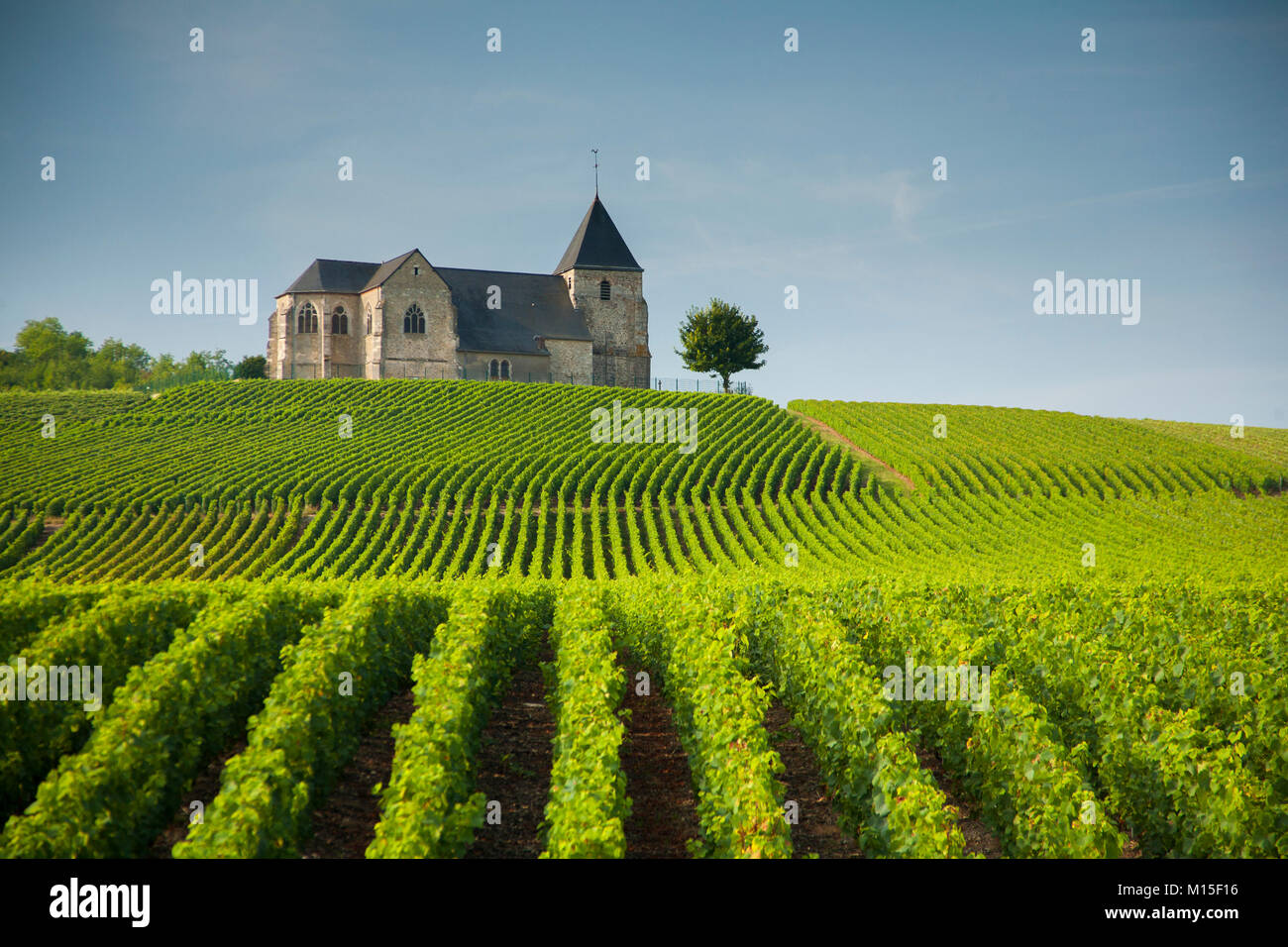 Reims champagne france countryside High Resolution Stock Photography ...