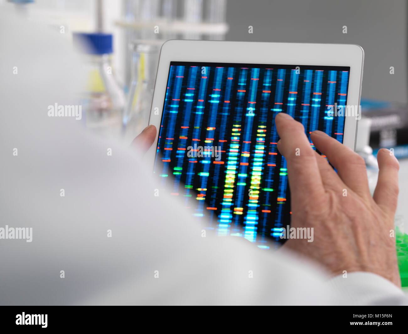 MODEL RELEASED. Scientist viewing results of a genetic test on a ...