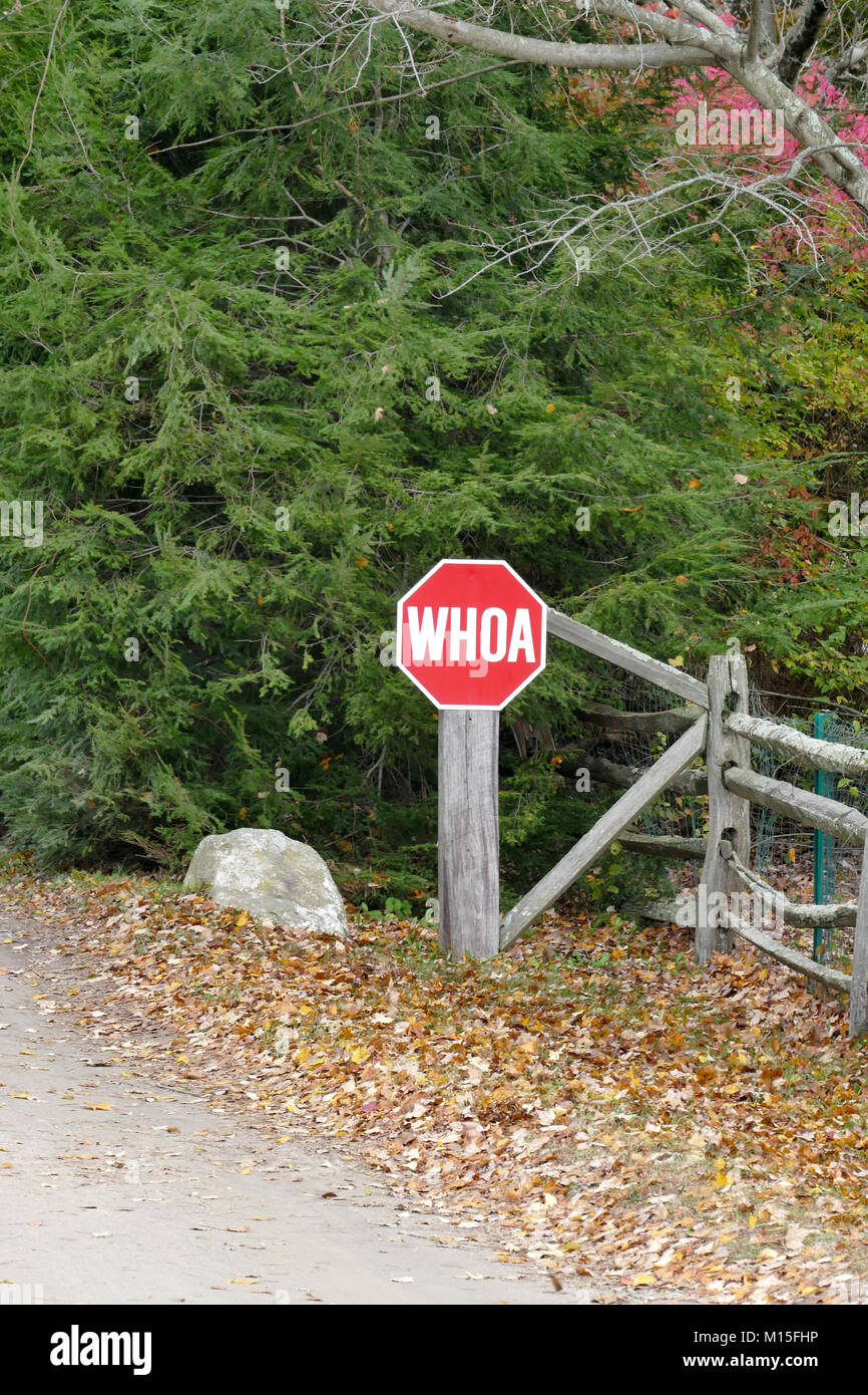 Whoa stop sign hi-res stock photography and images - Alamy