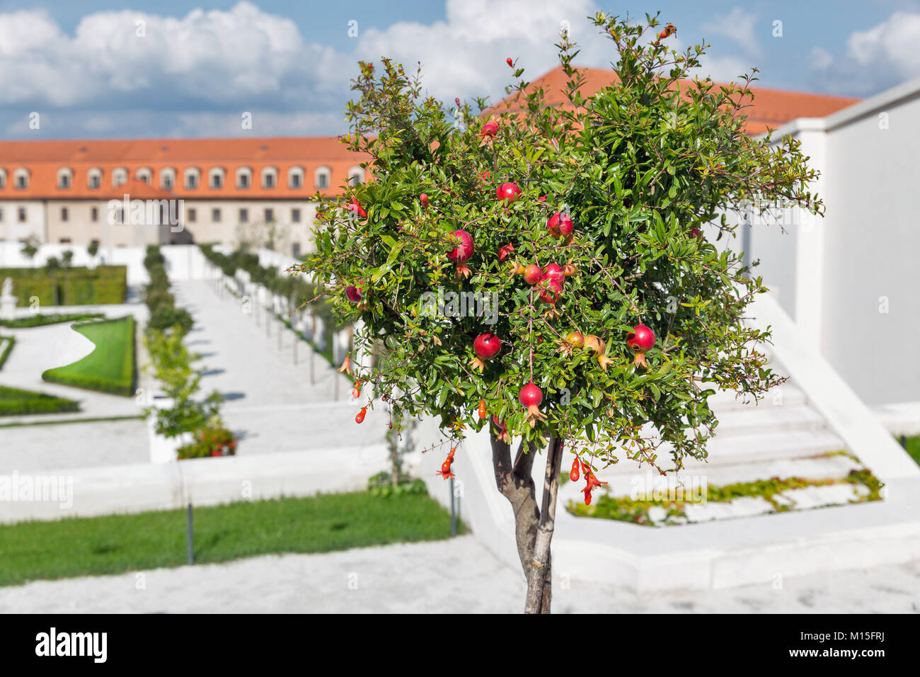 Flower garden behind medieval Castle in Bratislava, Slovakia Stock ...