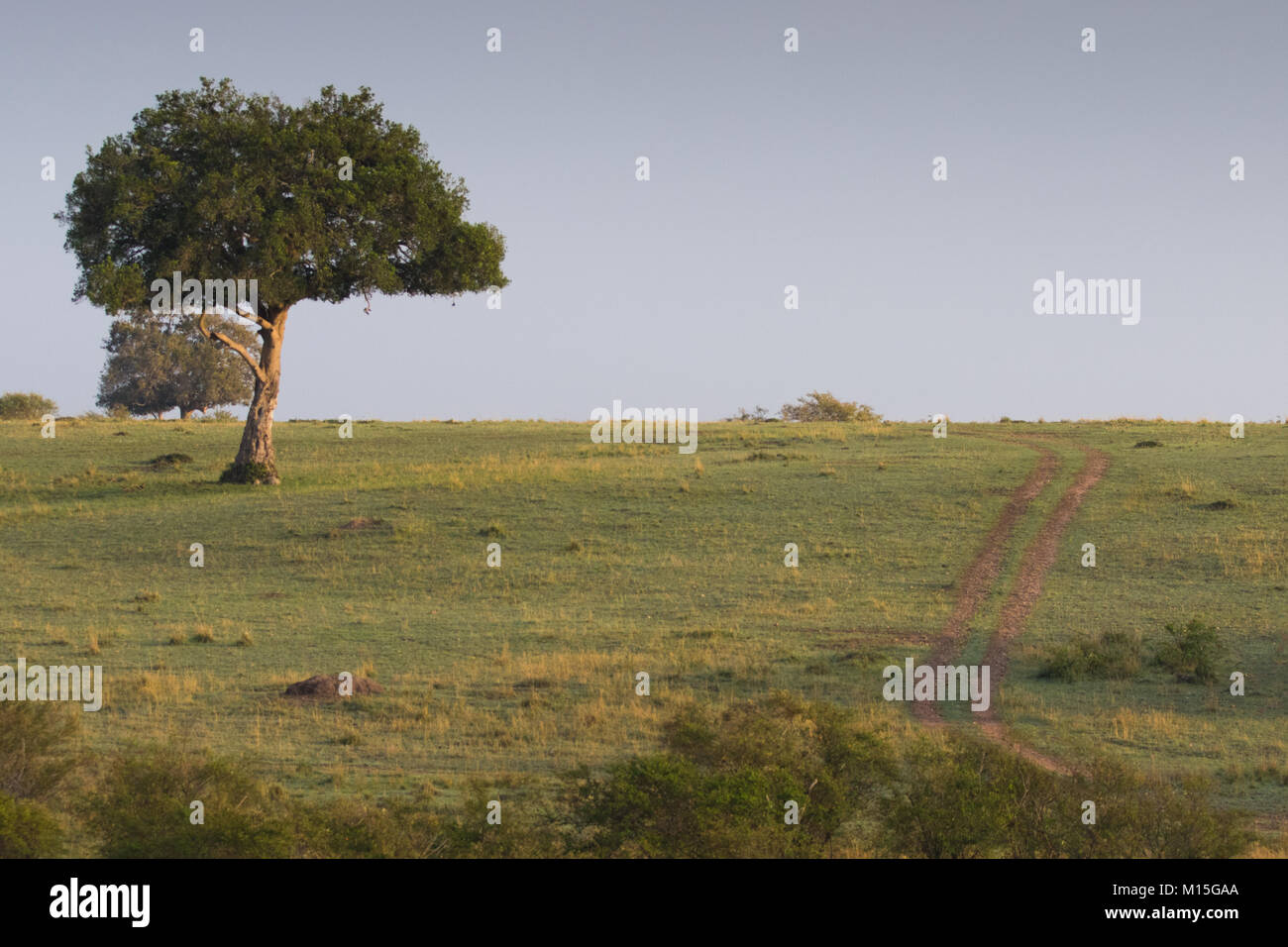 Masai Mara Landscape High Resolution Stock Photography and Images - Alamy
