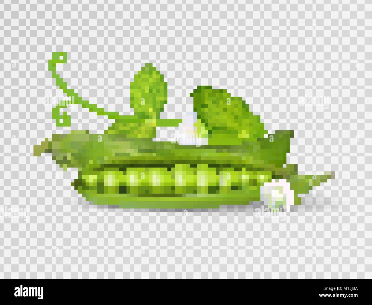 Vector photo-realistic pods of green peas with leaves on transparent ...
