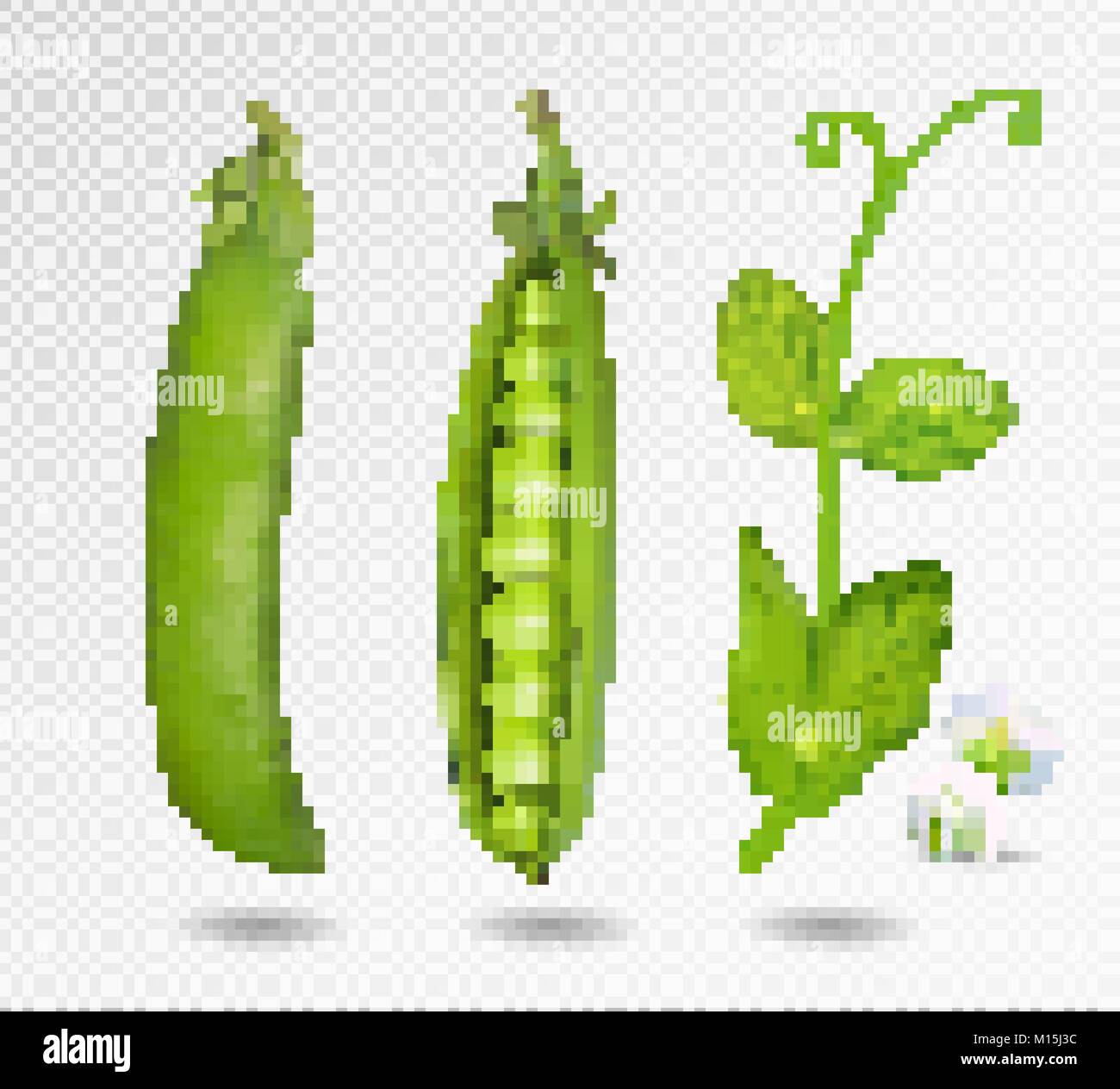 Peas Vector High Resolution Stock Photography and Images - Alamy