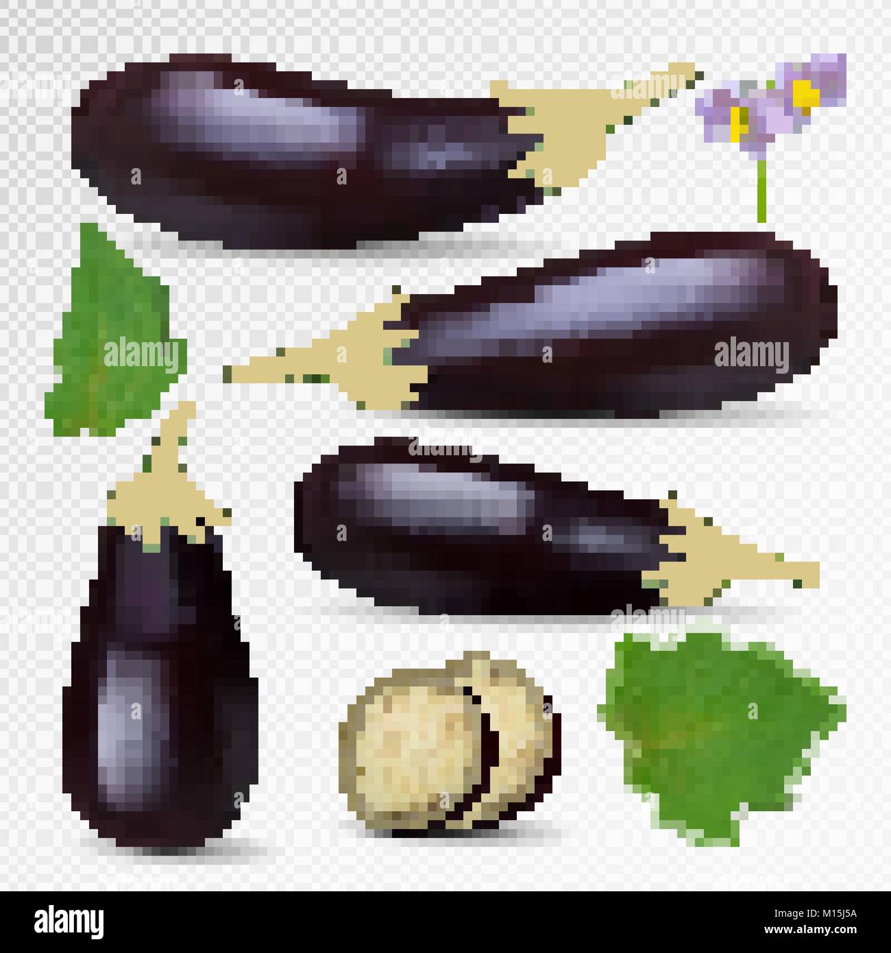 Vector Fresh Eggplant isolated on white background. Eggplant set, slice ...