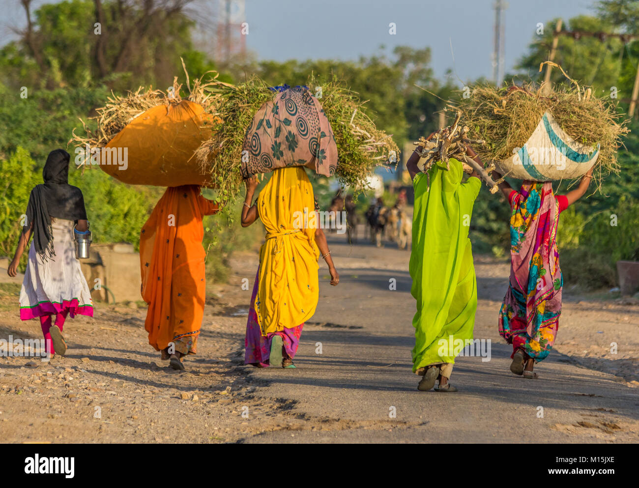 Rajasthan, India - between New Delhi and Pakistan, a desertic region ...
