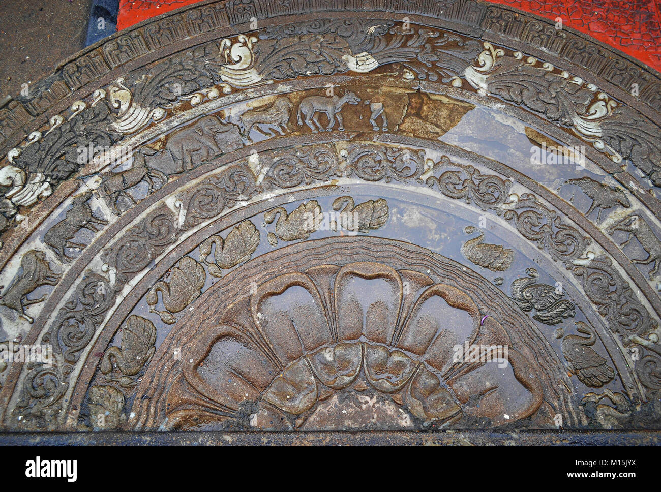 Sandakada Pahana ground carving. Moonstone relief depicting the cycle ...