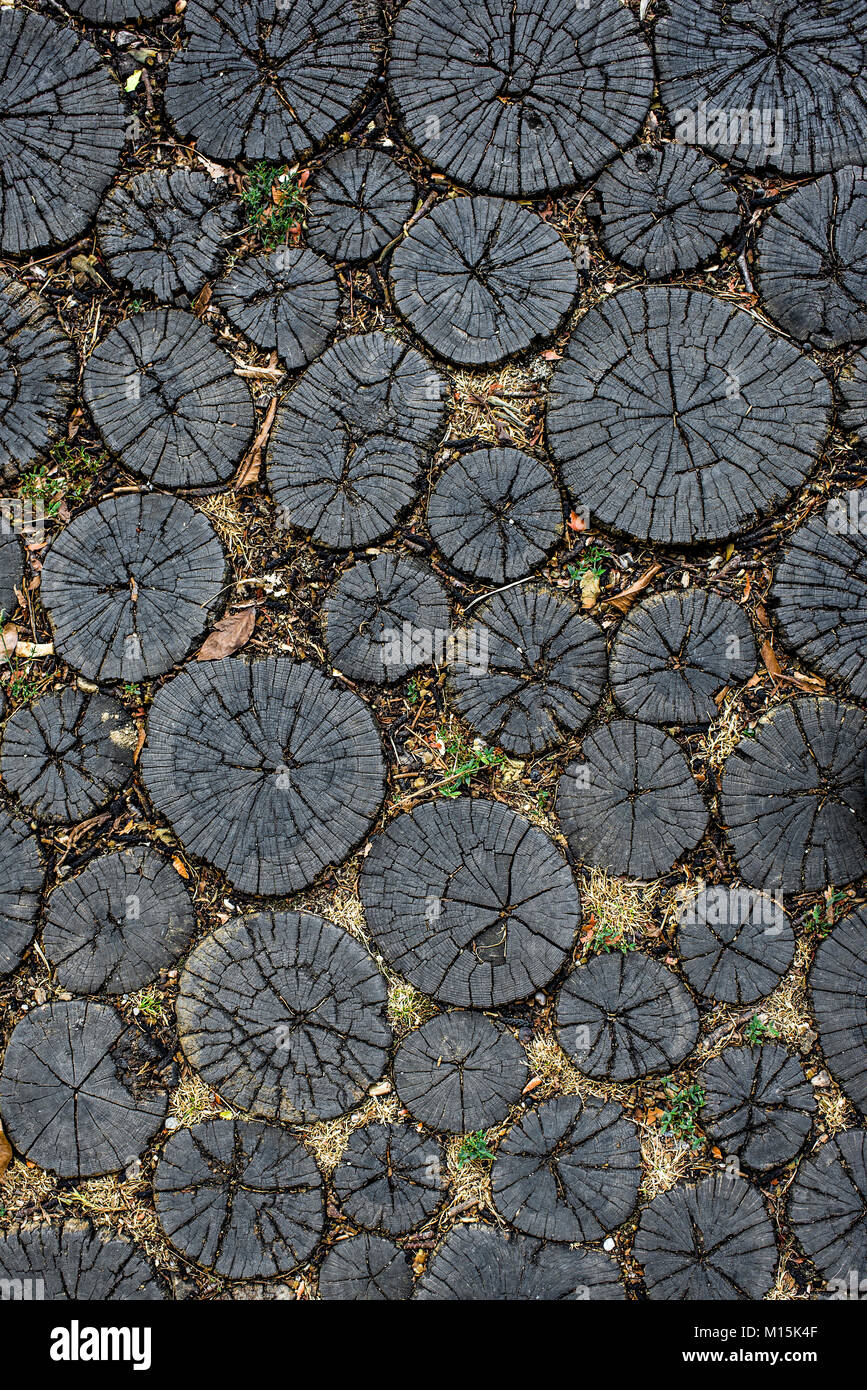Rustic wooden pathway surface in nature Stock Photo - Alamy