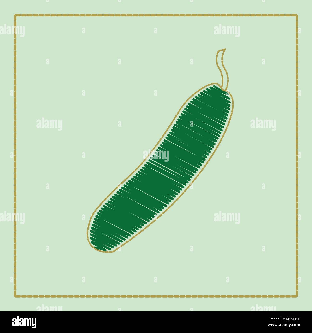 Plants of cucumber Stock Vector Images - Alamy