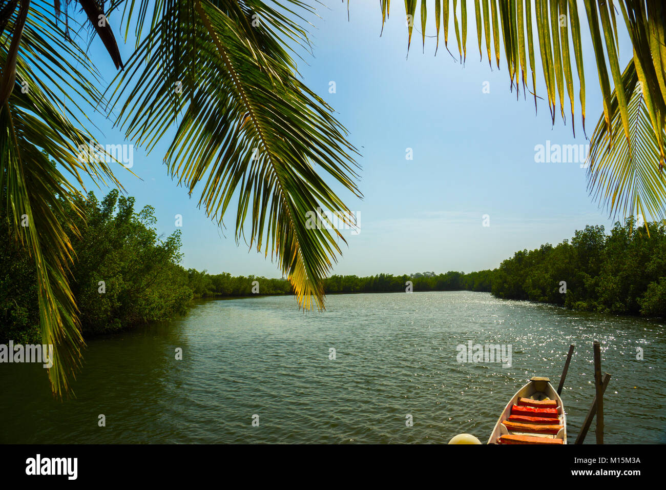 Mangroves gambia aerial view hi-res stock photography and images - Alamy