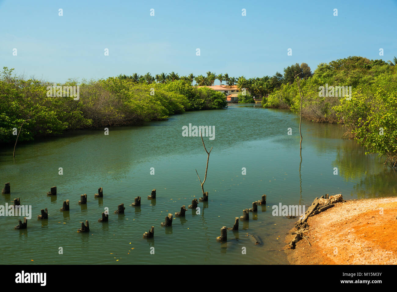 A landscape of a river on a blue sunny day in Gambia, West Africa Stock ...