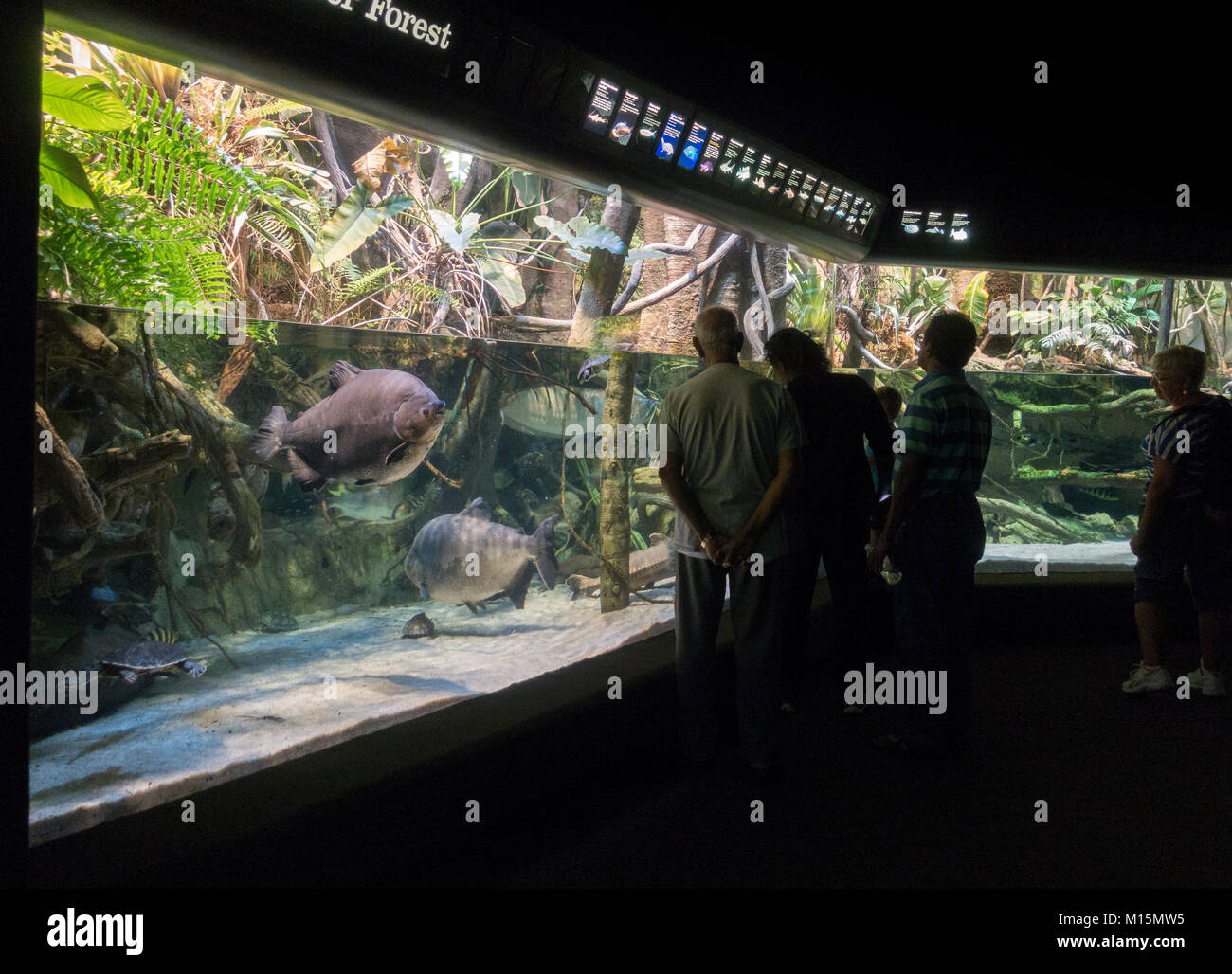 General view inside the National Aquarium, Baltimore, Maryland, United ... General view inside the National Aquarium, Baltimore, Maryland, United ...