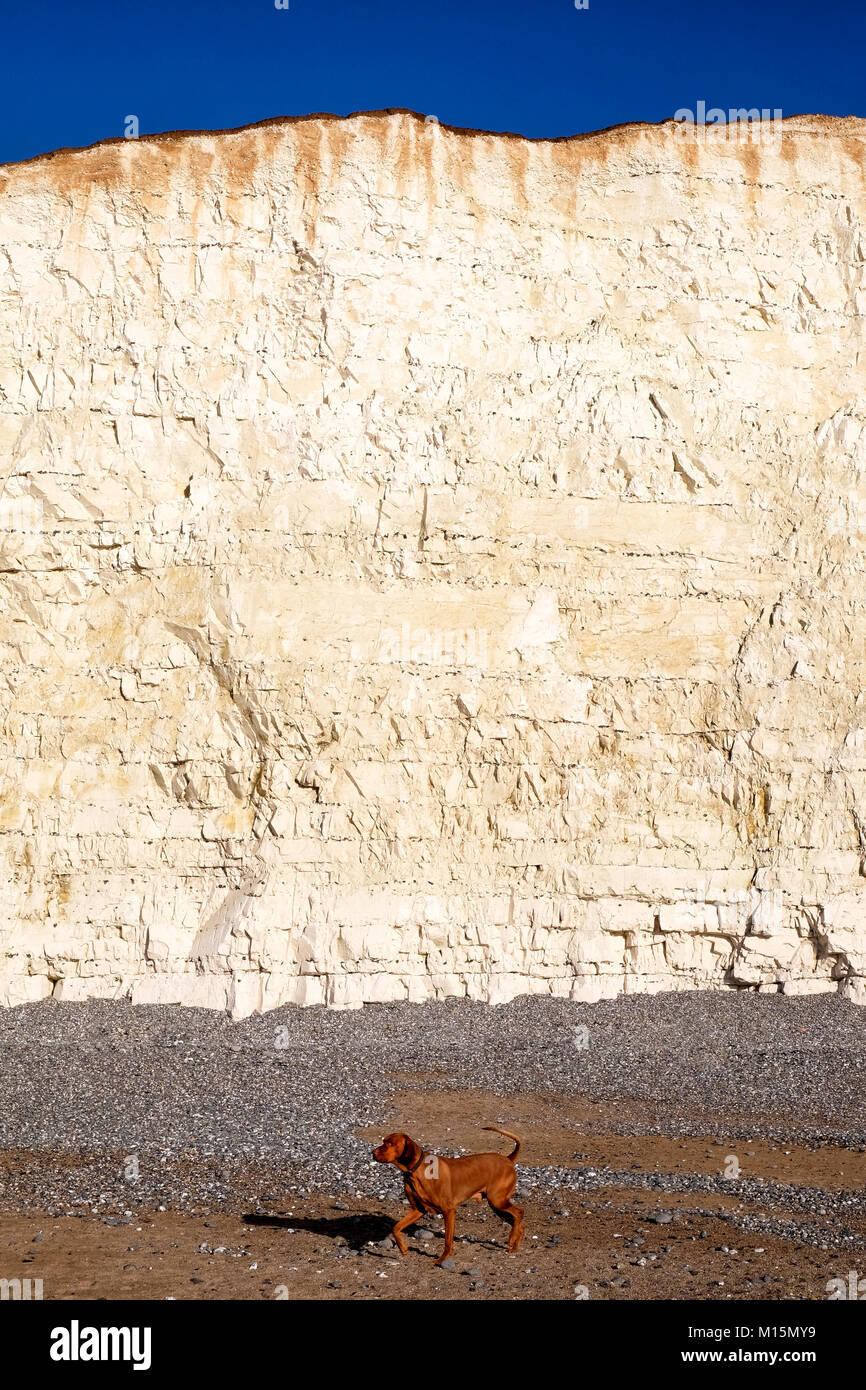 Bottom of white cliffs hi-res stock photography and images - Alamy