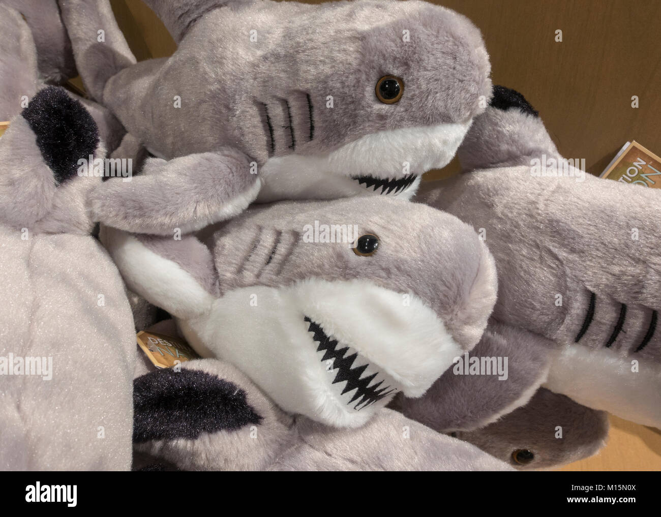 Aquarium shop hi-res stock photography and images - Alamy