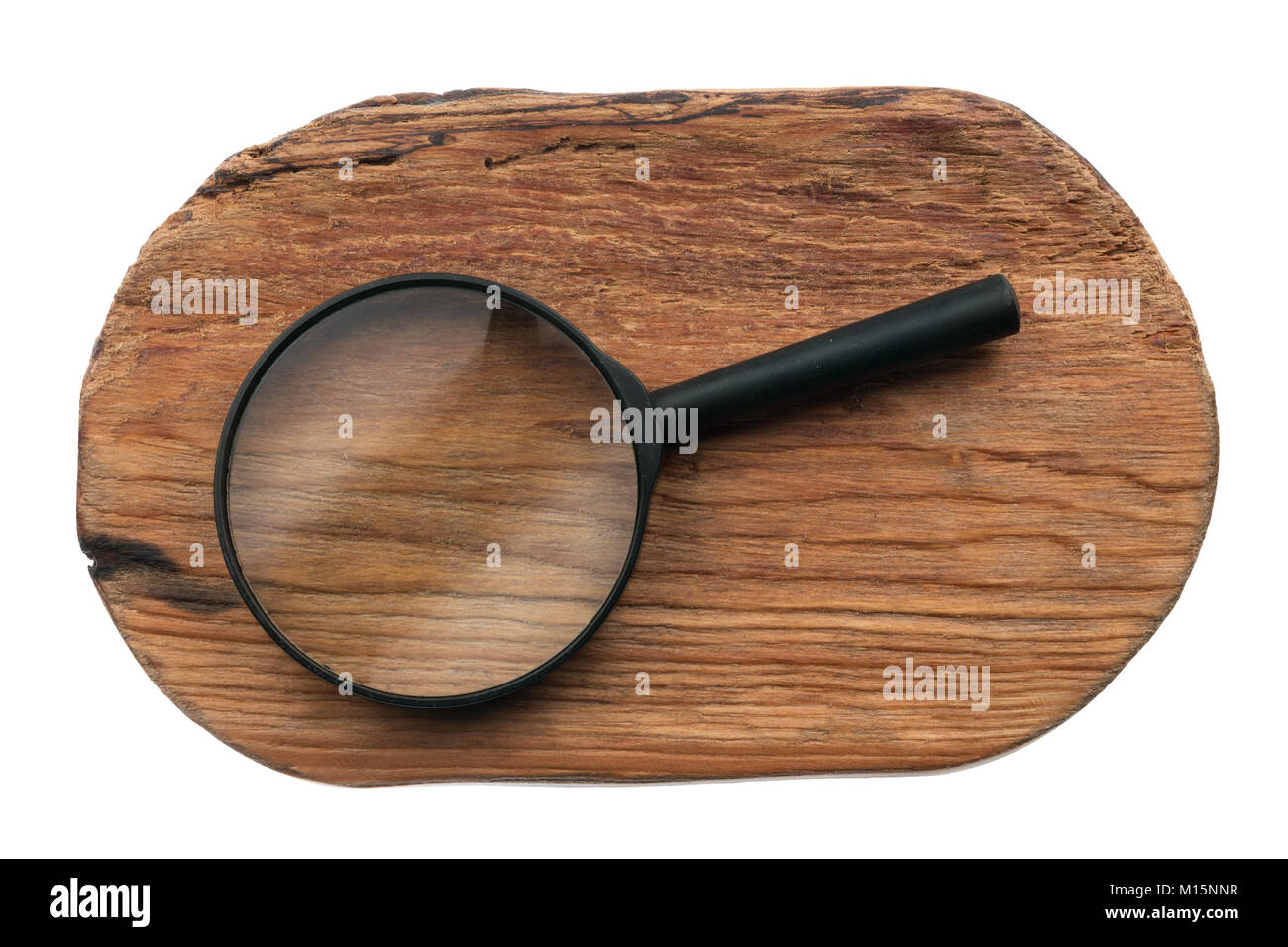 Study of wood texture through a magnifying glass, isolated on a white ...
