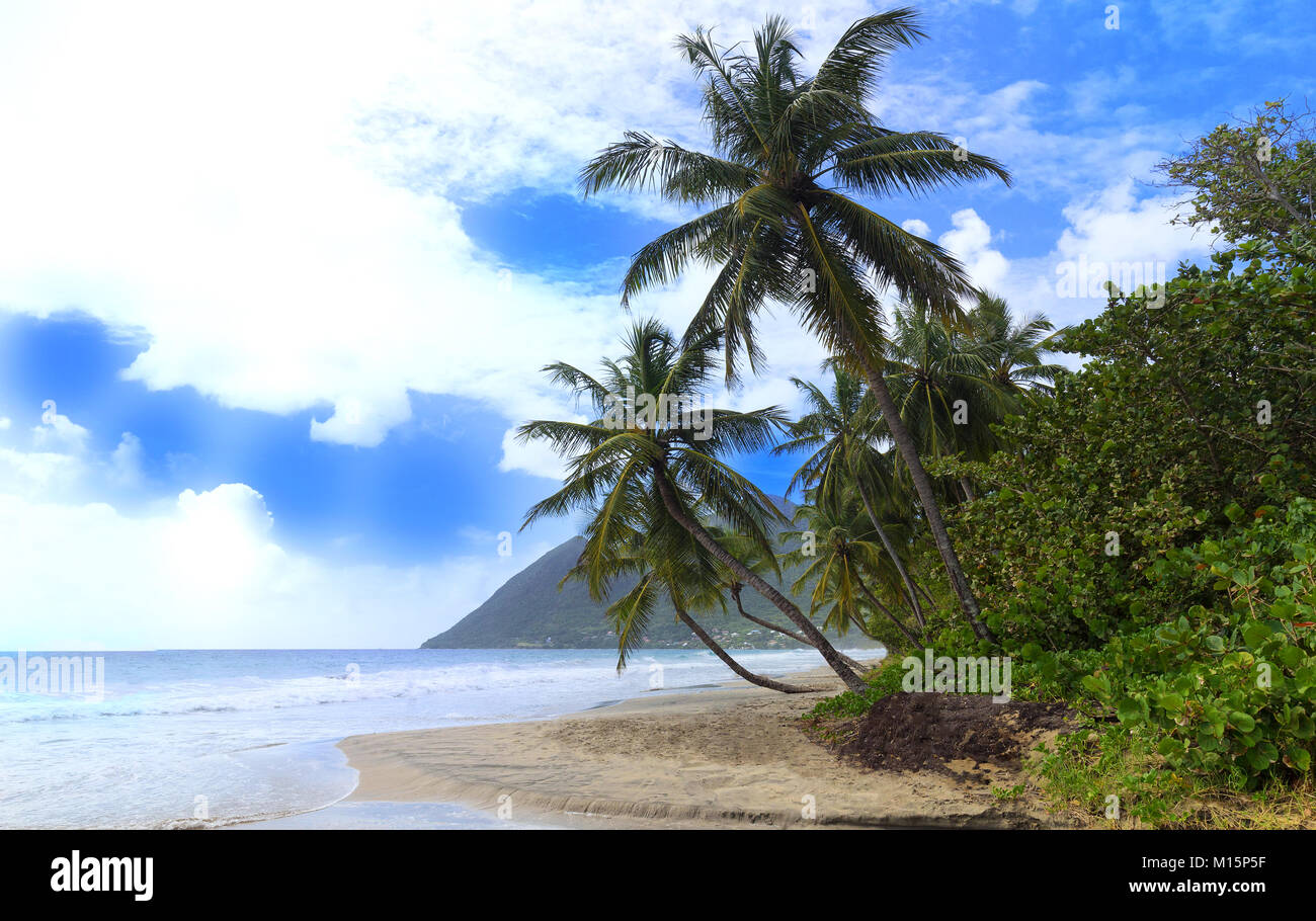 The Caribbean beach , Martinique island, French West Indies Stock Photo ...