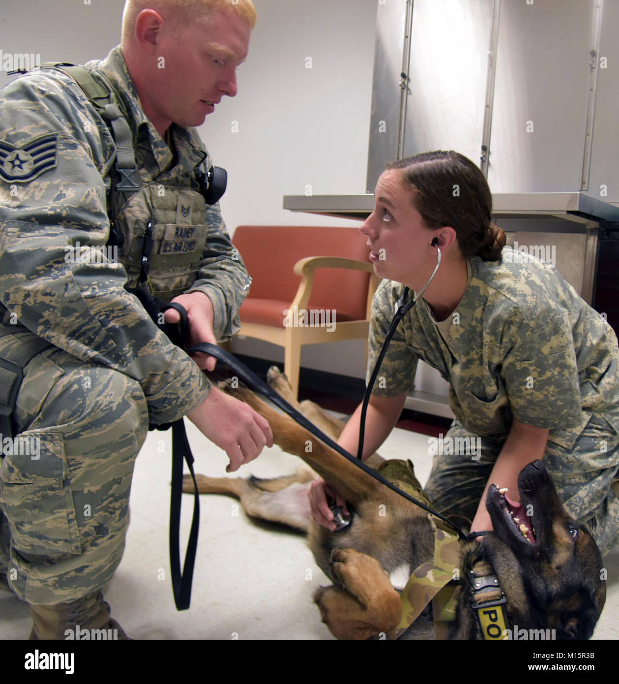 Staff Sgt. Craig Rainey, 78th Security Forces Military Working Dog ...