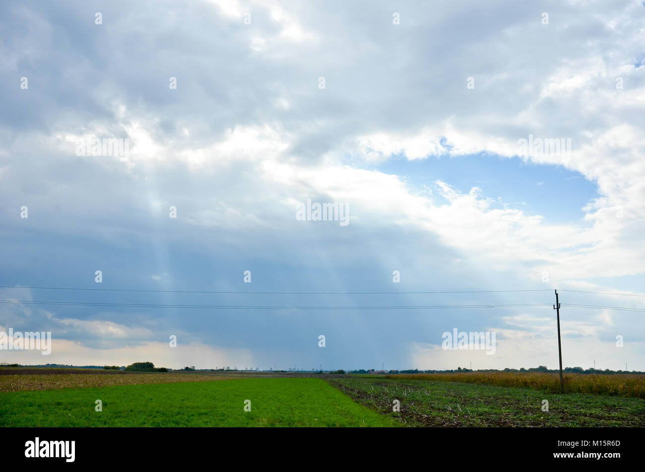 field with dramatic clouds and sky before storm and electric poles in ...