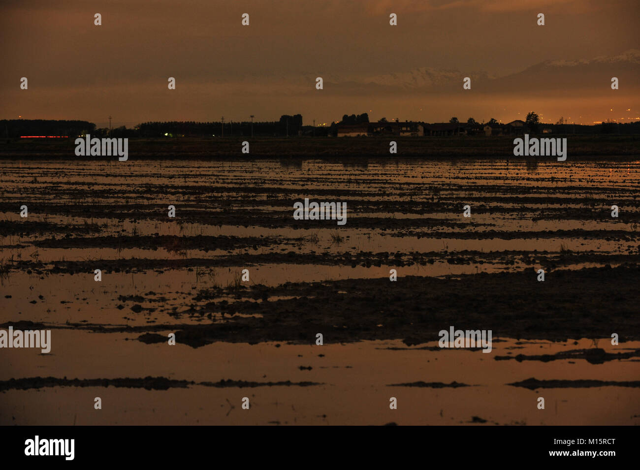 Italy rice piedmont hi-res stock photography and images - Alamy