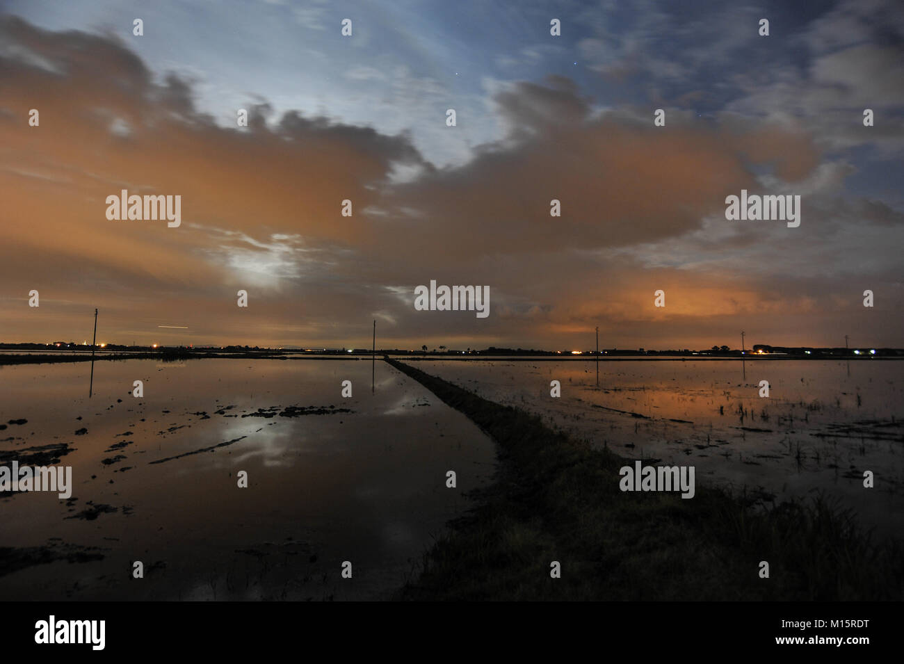Rice Fields near Novara, Piedmont, Italy Stock Photo - Alamy
